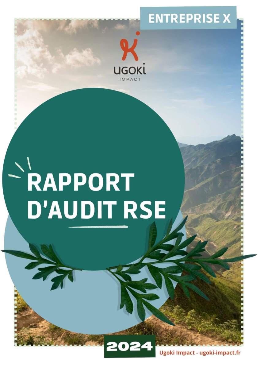 Diagnostic RSE – Cabinet de conseils et d'animations en stratégie RSE